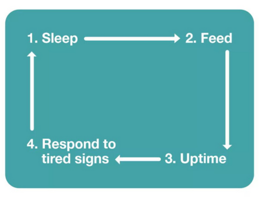 Creating A Daytime Routine For Newborn Baby – Love to Dream AU